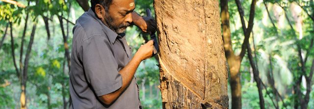 Kautschuk - Definition - hessnatur Textillexikon