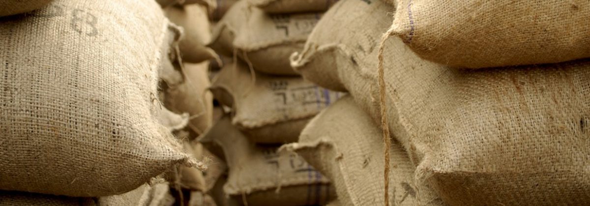 Jute - Definition - hessnatur Textillexikon